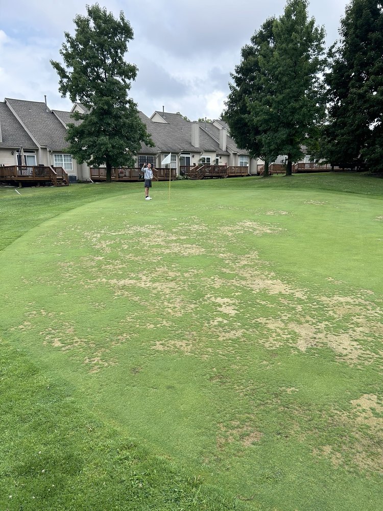 The Hidden Gem of Novi: A Closer Look at Maple Golf Club | Novi Insider